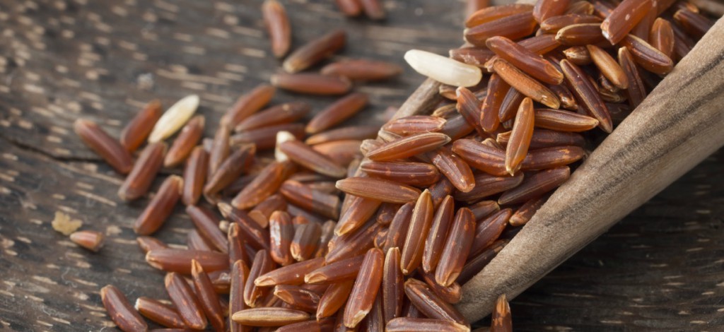 Sirop de riz brun | Sucres tendances | Édulcorants.eu