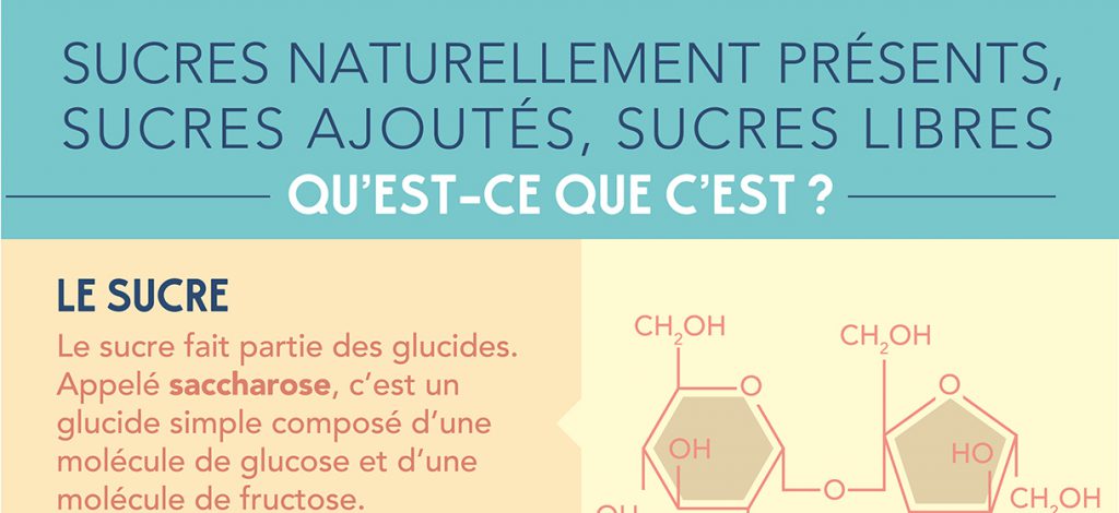 Comment se retrouver parmi tous les sucres? | Édulcorants.eu
